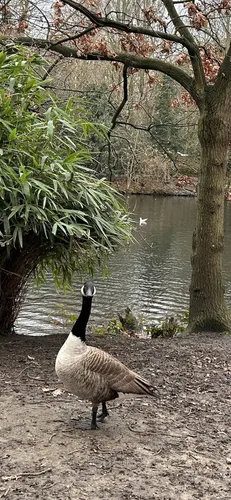 Best Hikes and Trails in Valentines Park | AllTrails