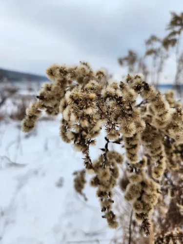 Best Hikes and Trails in Allan H. Treman State Marine Park | AllTrails