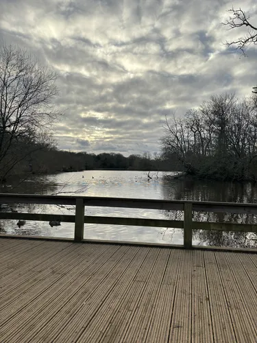 Best Hikes and Trails in Chingford | AllTrails