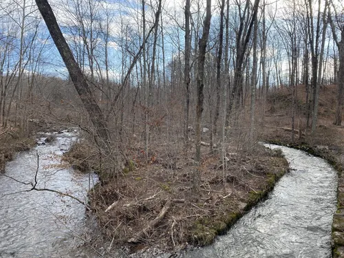 Best Hikes and Trails in Tyler Mill Preserve | AllTrails