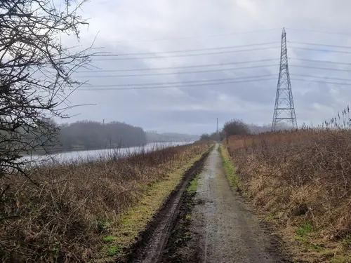 Best Hikes and Trails in Wigg Island Community Park | AllTrails