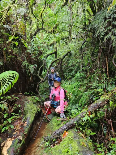 Best Hikes and Trails in Northern Negros Natural Park | AllTrails
