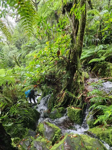 Best Hikes and Trails in Northern Negros Natural Park | AllTrails