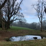 Meon Valley via Railway Line, Hampshire, England - 41 Reviews, Map ...