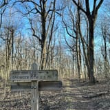 Len Foote Hike Inn to Amicalola Falls via Appalachian Approach Trail ...