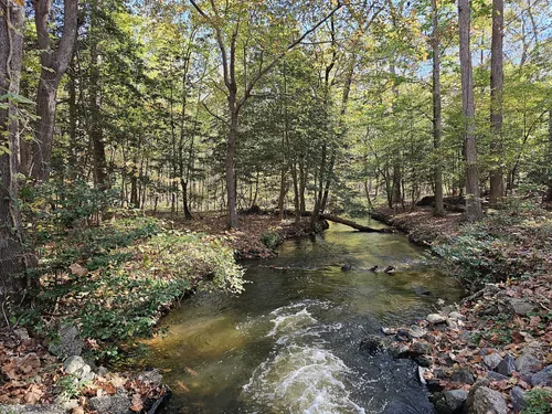 Best Kid Friendly Trails in Seaford | AllTrails