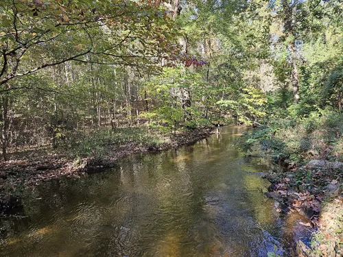 Best Kid Friendly Trails in Seaford | AllTrails