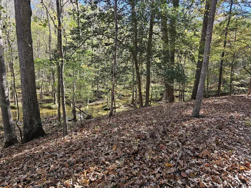 Best Kid Friendly Trails in Seaford | AllTrails