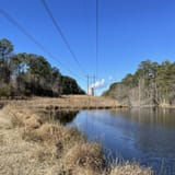 Harris Lake Peninsula Trail, North Carolina - 1,700 Reviews, Map ...