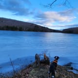 Benedict Pond Loop Trail, Massachusetts - 695 Reviews, Map | AllTrails
