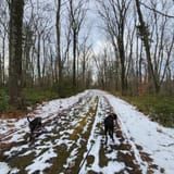 Benedict Pond Loop Trail, Massachusetts - 695 Reviews, Map | AllTrails