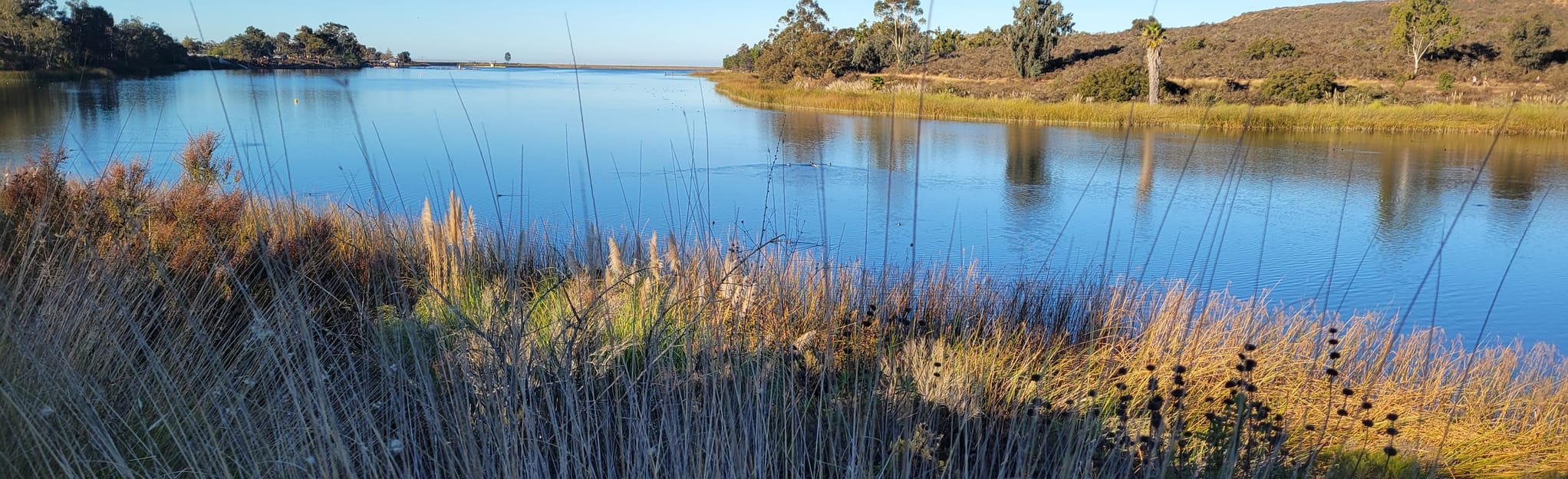 Lake Miramar Trail, California - 3,543 Reviews, Map | AllTrails