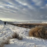 Jackson Lake Trail, New Mexico - 73 Reviews, Map | AllTrails