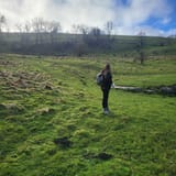 Chee Dale Gorge Circular, Derbyshire, England - 1,258 Reviews, Map ...