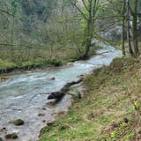 Chee Dale Gorge Circular, Derbyshire, England - 1,258 Reviews, Map ...