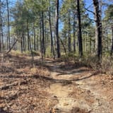 Wiregrass Loop Trail, North Carolina - 284 Reviews, Map | AllTrails