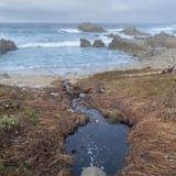 Asilomar State Beach and Coast Trail, California - 913 Reviews, Map ...