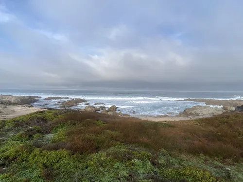 Best Hikes and Trails in Asilomar State Beach | AllTrails