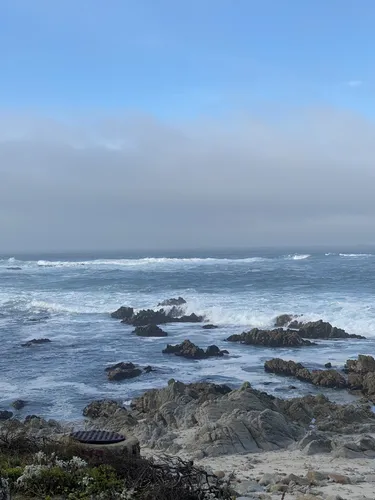 Best Hikes and Trails in Asilomar State Beach | AllTrails