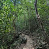 Lind Point Trail to Honeymoon Beach, Saint John, US Virgin Islands ...