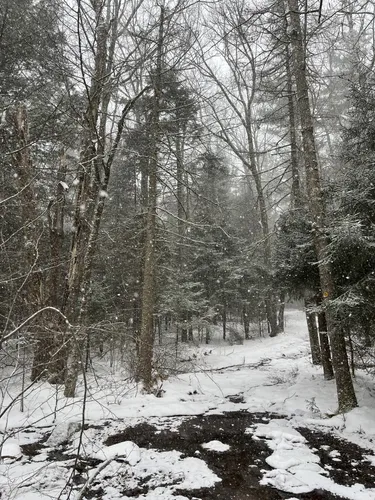 Best Hikes and Trails in Colgate Lake Wild Forest | AllTrails