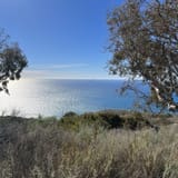 Ocean Overlook Loop, California - 942 Reviews, Map | AllTrails