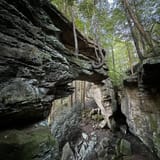 Split Bow Arch Loop, Kentucky - 200 Reviews, Map | AllTrails