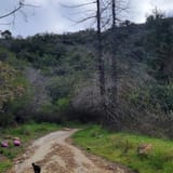 Murphy Ranch Trail, California - 3,555 Reviews, Map | AllTrails