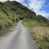 Cerro de Punta, Central Region, Puerto Rico - 129 Reviews, Map | AllTrails