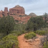 Mescal Mountain Trail, Arizona - 689 Reviews, Map | AllTrails