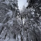 Mount Hunger via Waterbury Trail, Vermont - 1,362 Reviews, Map | AllTrails