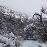 Quail Trail Loop, Utah - 287 Reviews, Map | AllTrails