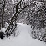 Quail Trail Loop, Utah - 287 Reviews, Map | AllTrails