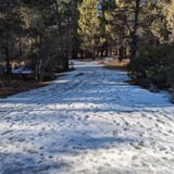 Alpine Pedal Path Trail, California - 897 Reviews, Map | AllTrails