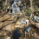 Graybeard Trail, North Carolina - 1,733 Reviews, Map | AllTrails