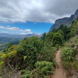 Newlands Forest - Fernwood Track Loop, Western Cape, South Africa - 114 ...
