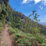 Newlands Forest - Fernwood Track Loop, Western Cape, South Africa - 114 ...