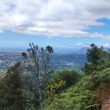 Newlands Forest - Fernwood Track Loop, Western Cape, South Africa - 114 ...