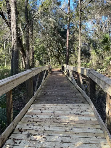 Best Hikes and Trails in Bivens Arm Nature Park | AllTrails