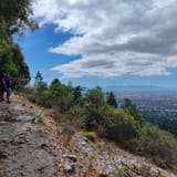 Newlands Forest - Fernwood Track Loop, Western Cape, South Africa - 114 ...
