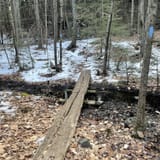 Bauneg Beg Middle Mountain Trail, Maine - 1,022 Reviews, Map | AllTrails
