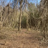Charleston Park Trail, Georgia - 1,395 Reviews, Map | AllTrails