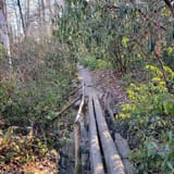 John Rock Trail Loop, North Carolina - 2,106 Reviews, Map | AllTrails