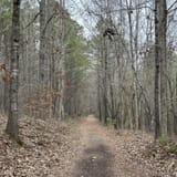 Iron Hill Loop, Georgia - 4,645 Reviews, Map | AllTrails