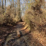 Bethabara Park Trail, North Carolina - 175 Reviews, Map | AllTrails