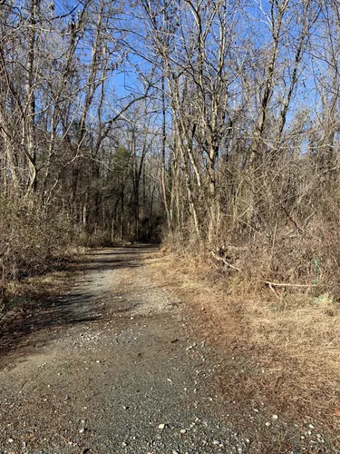 Best Hikes and Trails in Bethabara Park | AllTrails