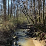 Bethabara Park Trail, North Carolina - 175 Reviews, Map | AllTrails