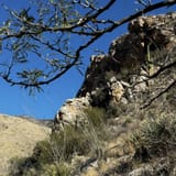 Pontatoc Ridge Trail, Arizona - 1,656 Reviews, Map | AllTrails