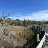 Cedar Point Tideland Trail, North Carolina - 701 Reviews, Map | AllTrails