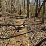 Fall Mountain Trail, North Carolina - 1,093 Reviews, Map | AllTrails